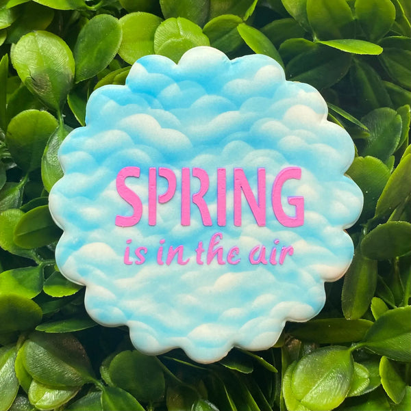 Spring is in the Air Cookie Stencil - bakeartstencils